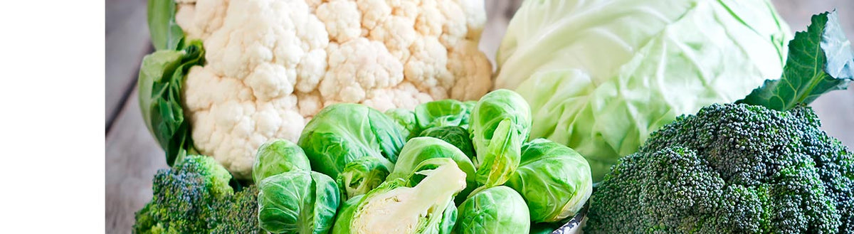 Alles Wissenswerte rund um den Kohl